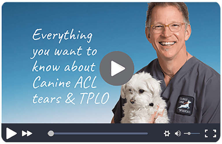 TPLO – Colorado Canine Orthopedics